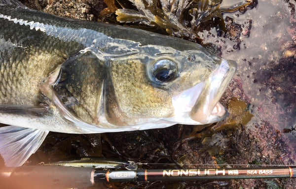 Guided Jersey Shore Fishing Voucher 3hrs (Weekdays) – Fish Tackled